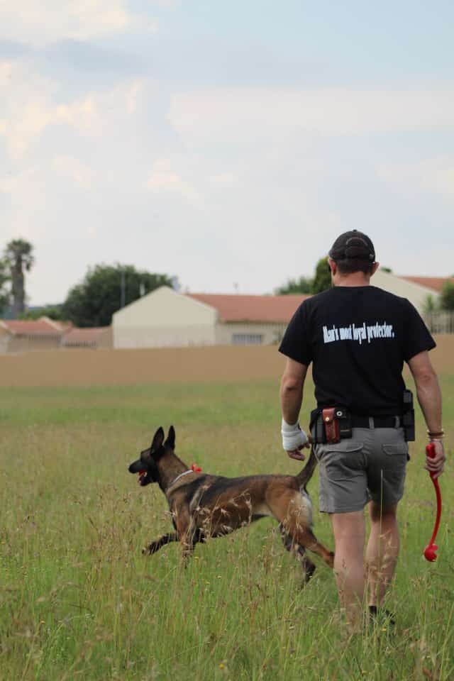 Services - SACE Checks - African K9 Solutions